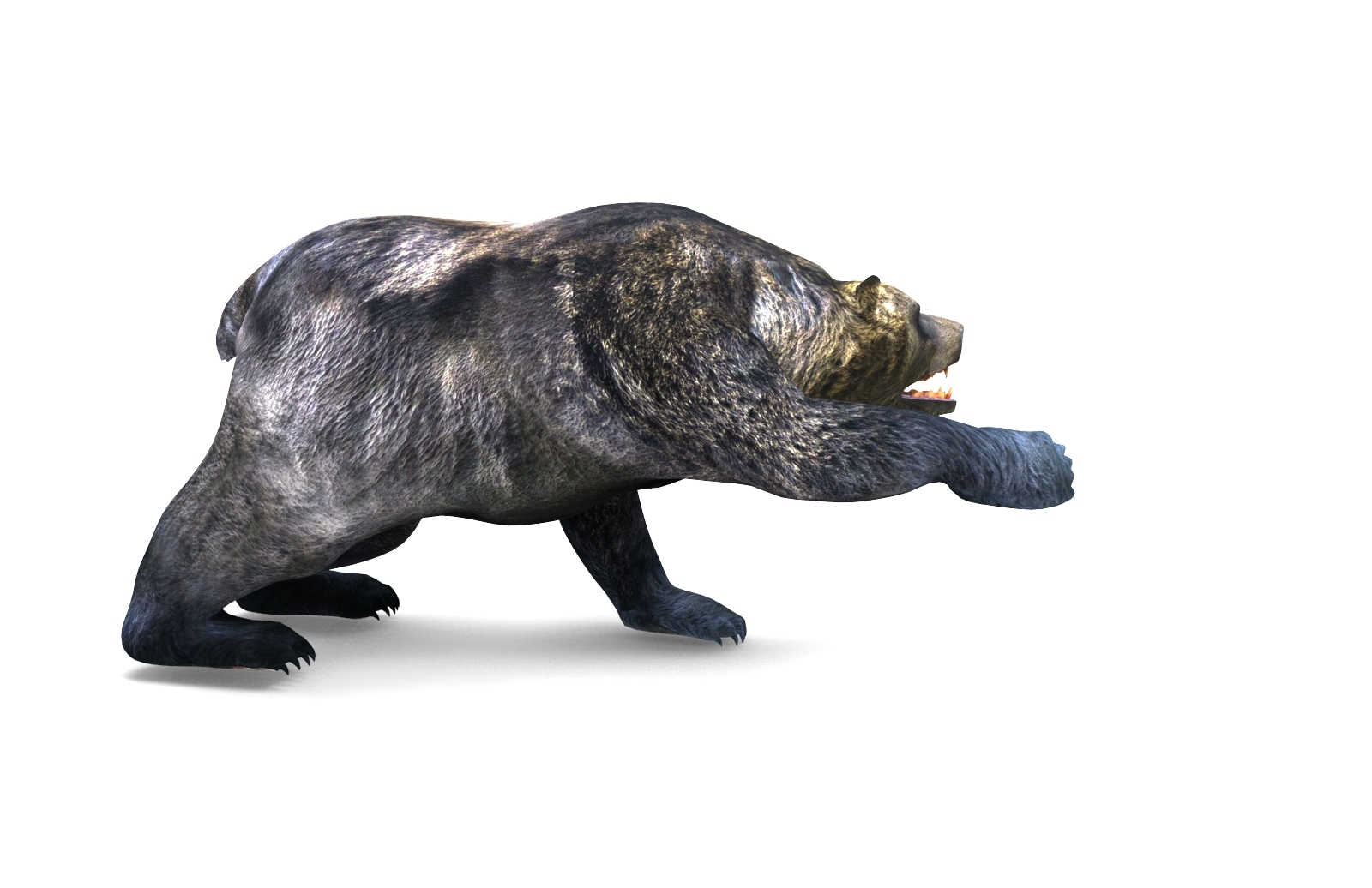 Bär niedrig Poly animiert 3D-Modell - TurboSquid 1224270