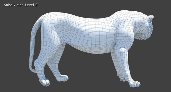 Sumatran tiger cat animation model - TurboSquid 1224349