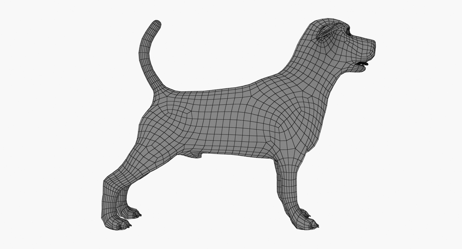 Beagle dog base mesh 3D - TurboSquid 1224364