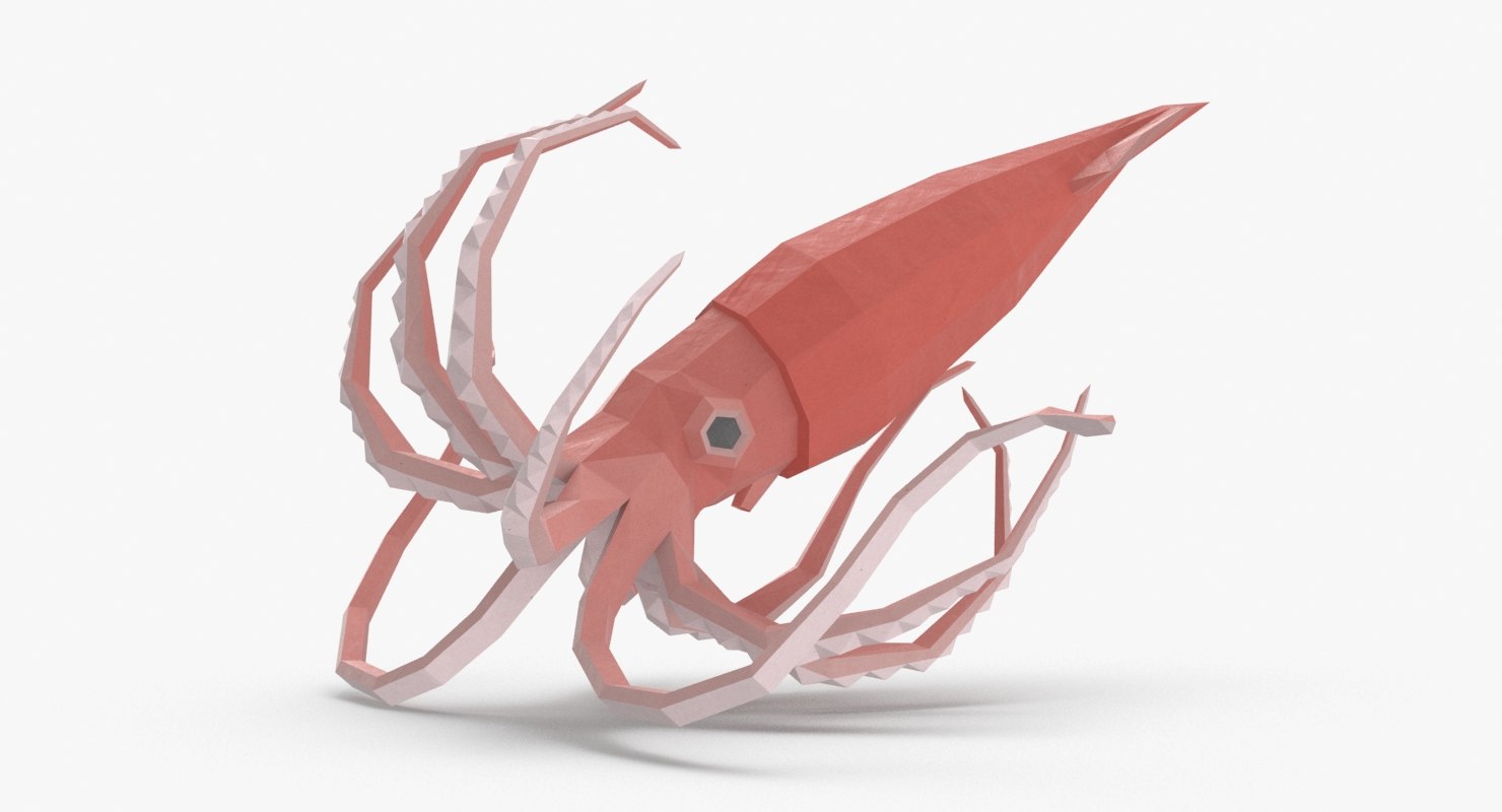 3D squid---floating - TurboSquid 1224465