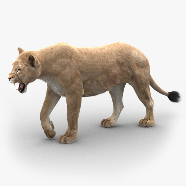 Lion 3D Models for Download | TurboSquid