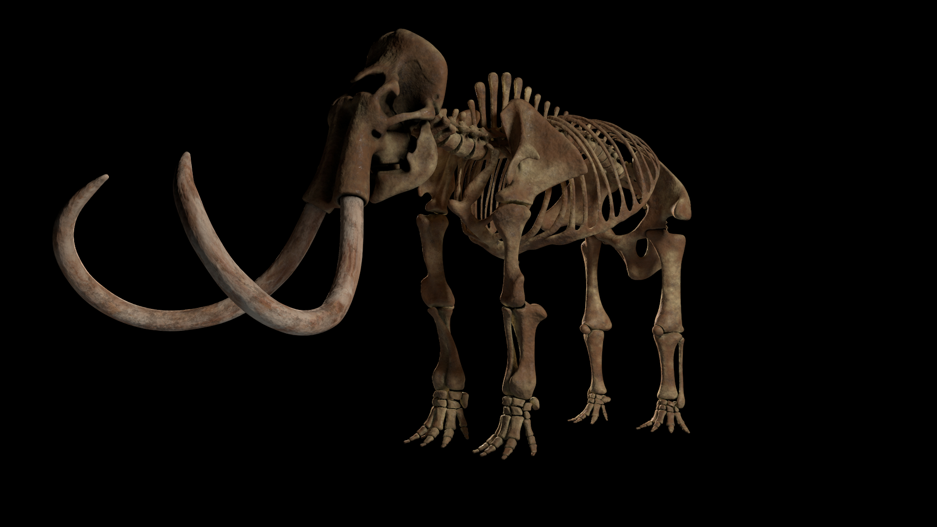 3D model complete mammoth skeleton animate - TurboSquid 1225064