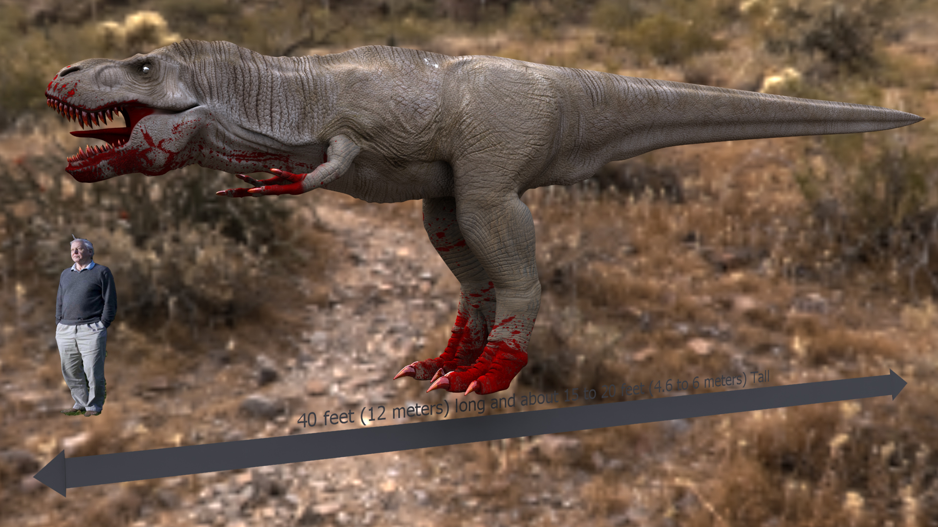 T rex stationary walk cycle 3D model - TurboSquid 1225107