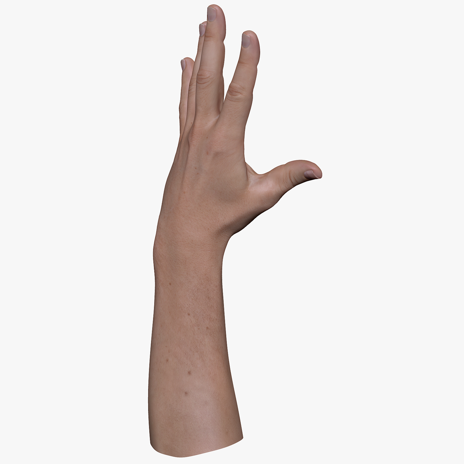 modelo 3d Mano realista - ZBRUSH - TurboSquid 1225137