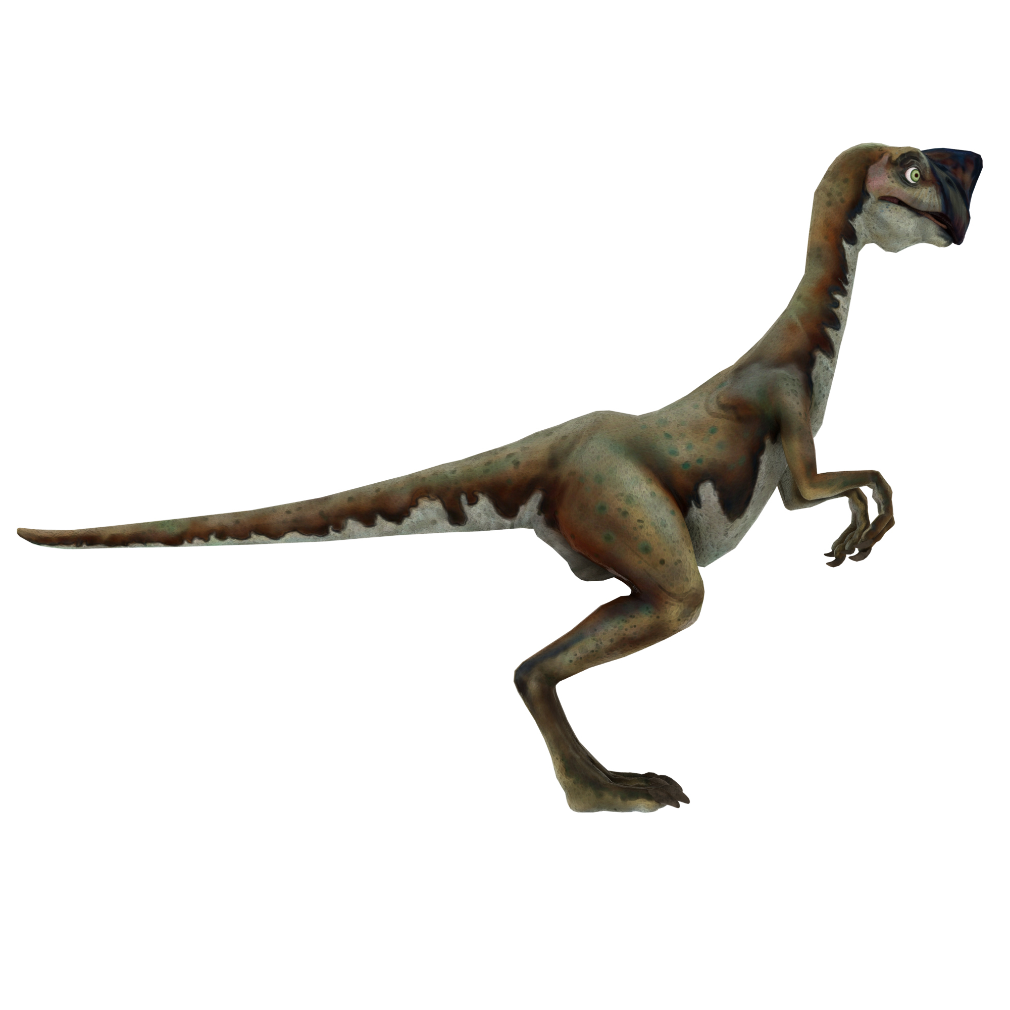 3D model oviraptor raptor - TurboSquid 1225157