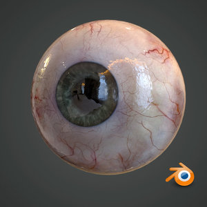 Free Blender Eye Models | TurboSquid