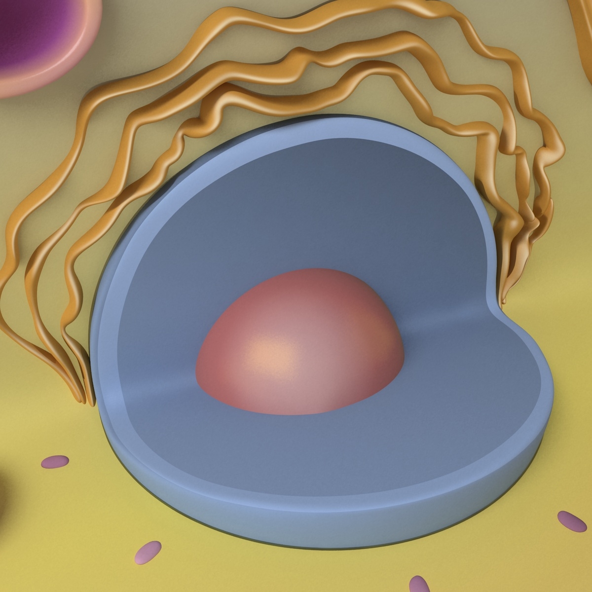 3D biological cell model - TurboSquid 1225448