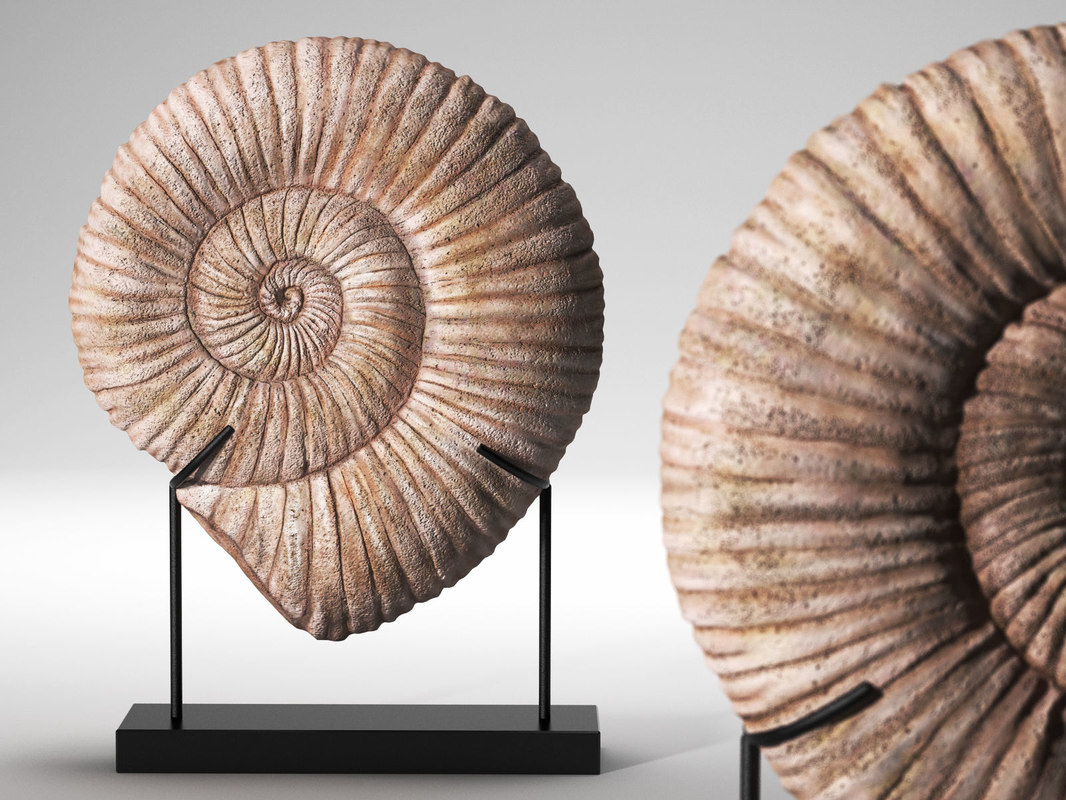 3D fossil iron-marble shell sculpture - TurboSquid 1226068