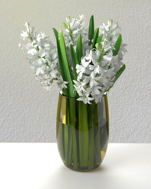 White hyacinths 3D model - TurboSquid 1226250
