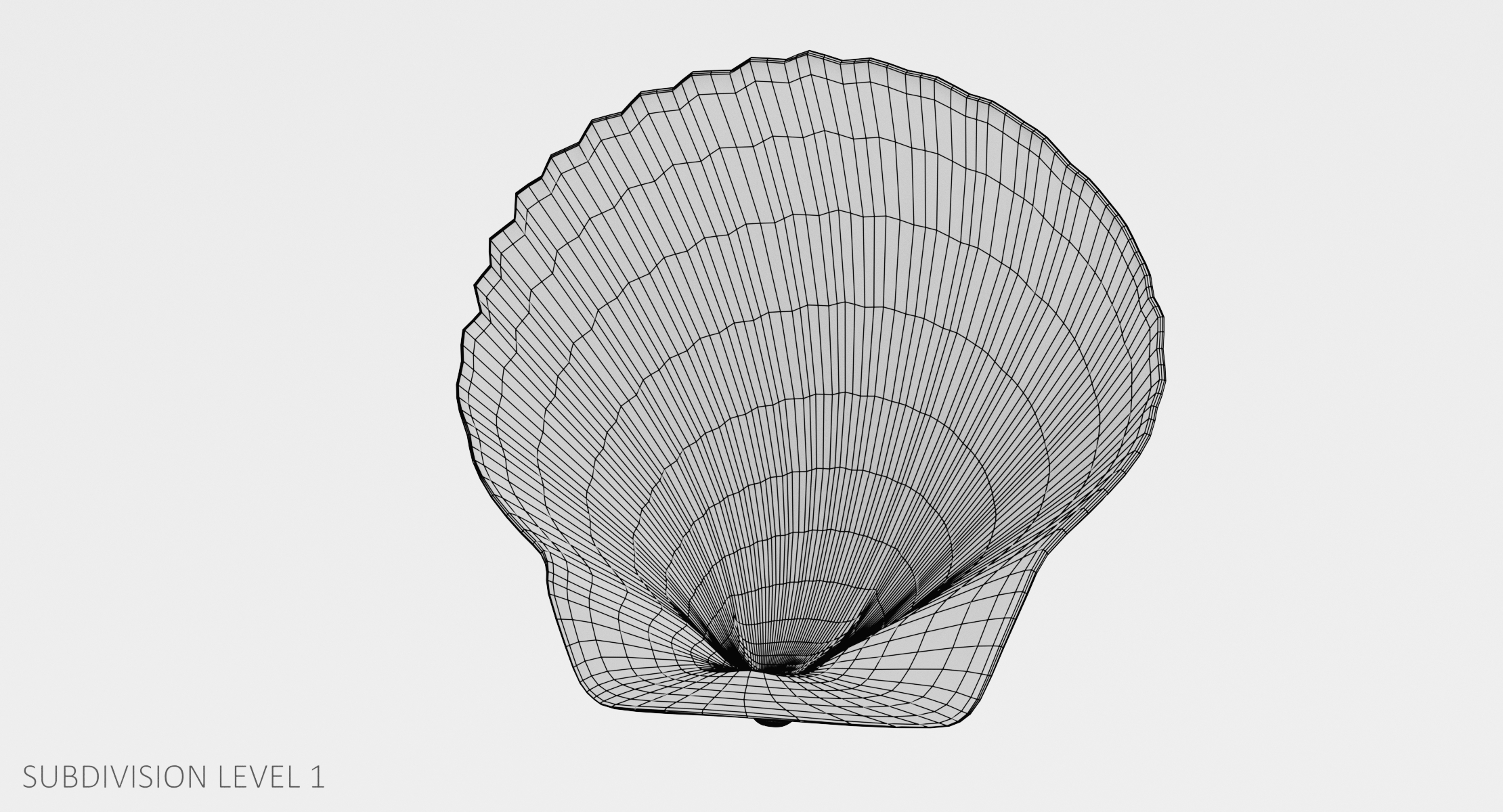 Clam pbr 3D - TurboSquid 1226252