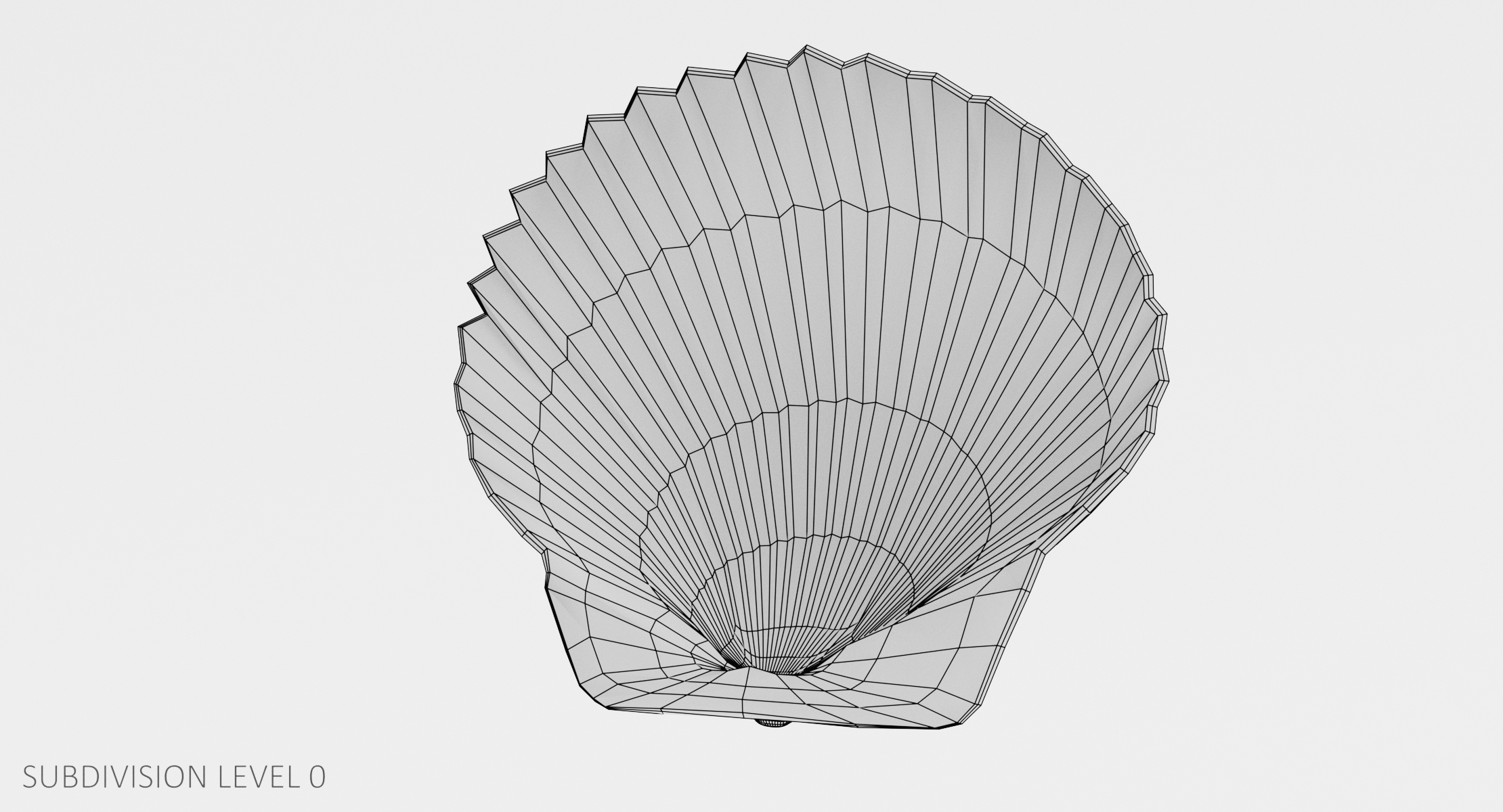 Clam pbr 3D - TurboSquid 1226252