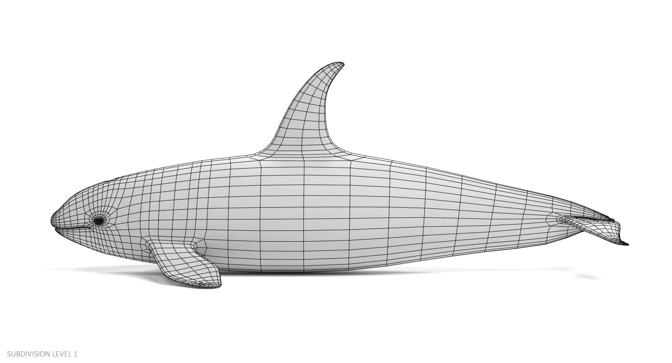 Whales 3D model - TurboSquid 1226678
