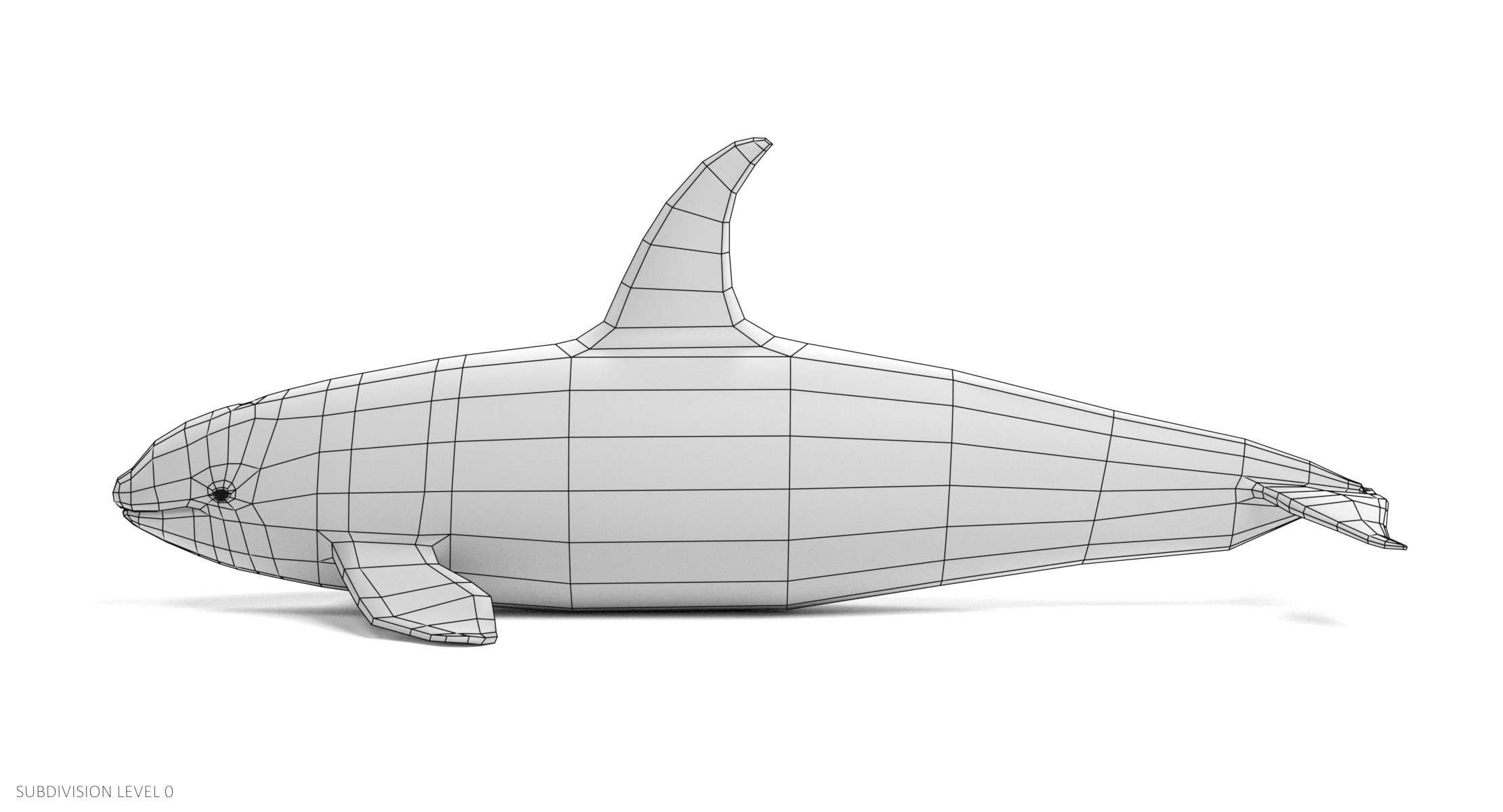 Whales 3D model - TurboSquid 1226678