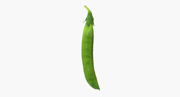 Fresh pea pod closed model - TurboSquid 1226679