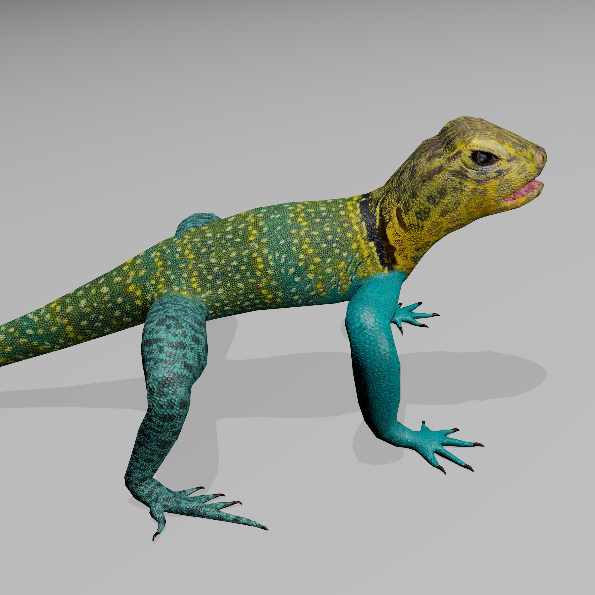 3D collared lizard model - TurboSquid 1226901