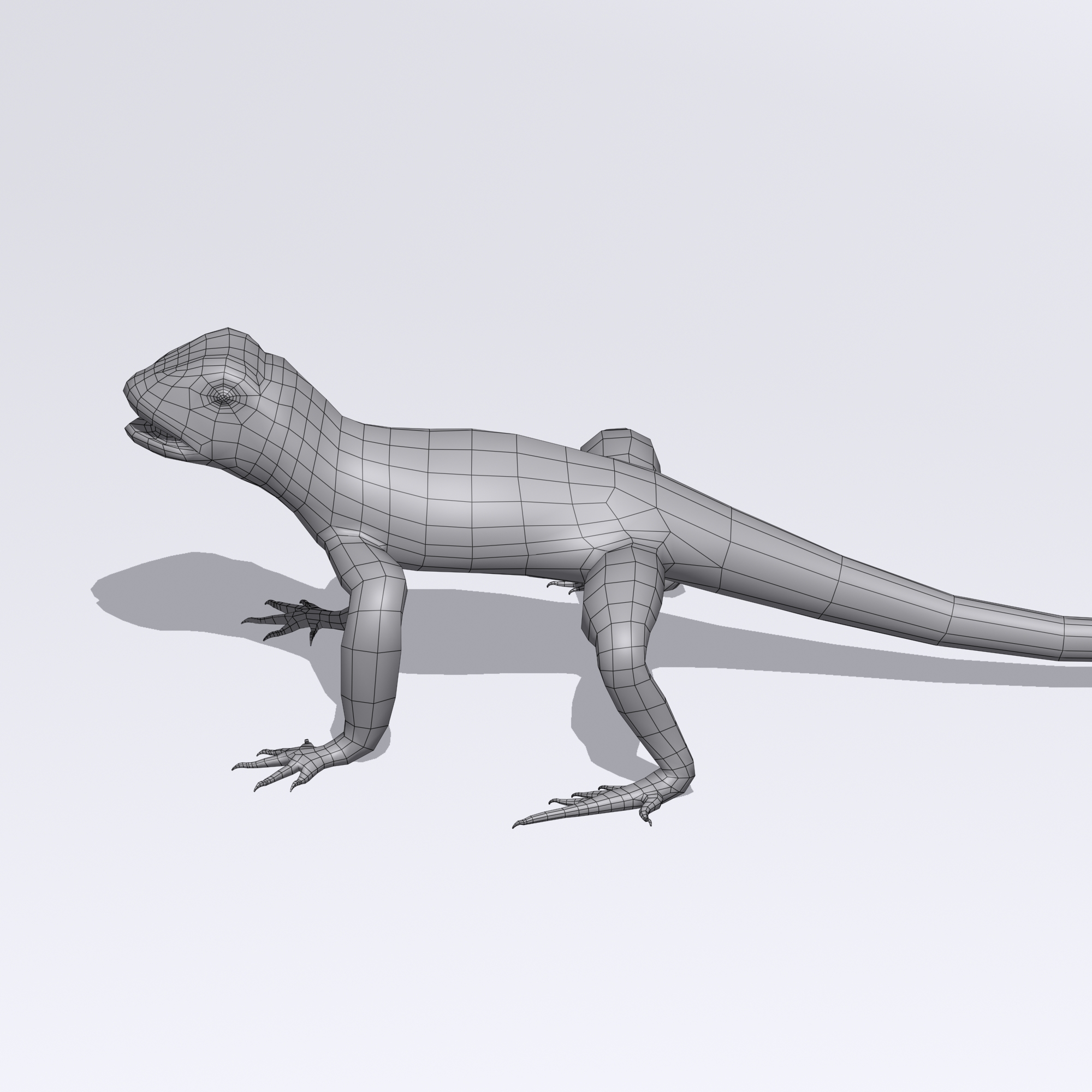3D collared lizard model - TurboSquid 1226901