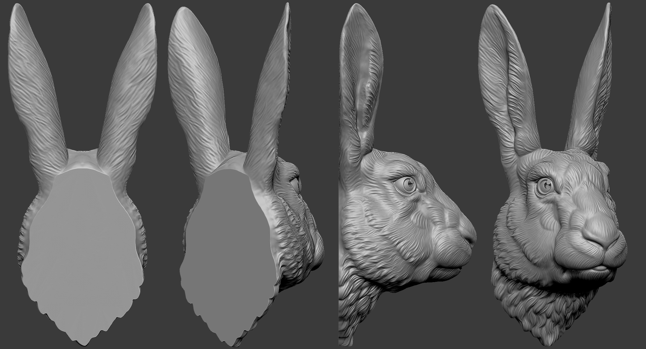 Rabbit hare head sculpture model - TurboSquid 1226964