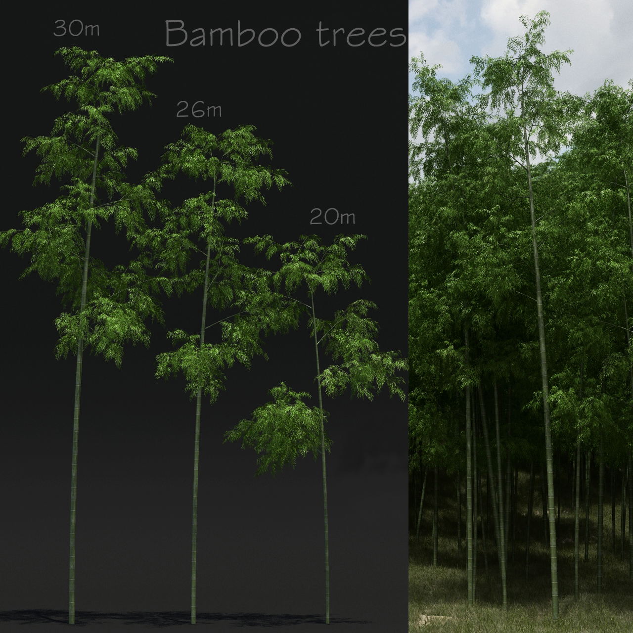 Bamboo trees scatter 3D model - TurboSquid 1227244
