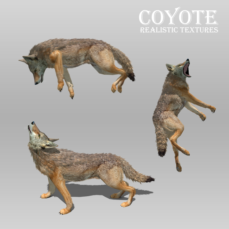 3D coyote animations model - TurboSquid 1227740