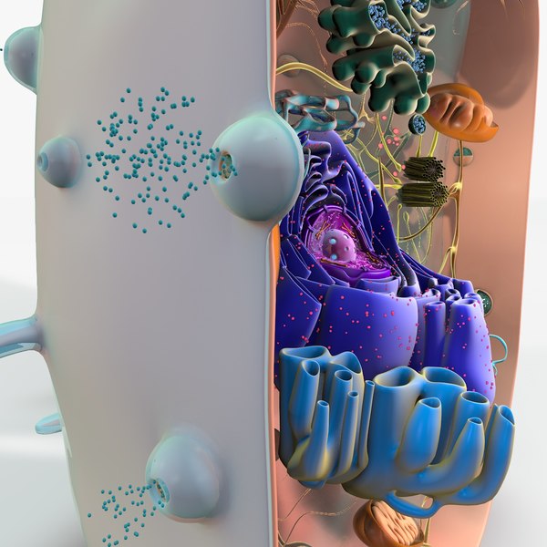 Cell animal cytoplasma 3D - TurboSquid 1227995