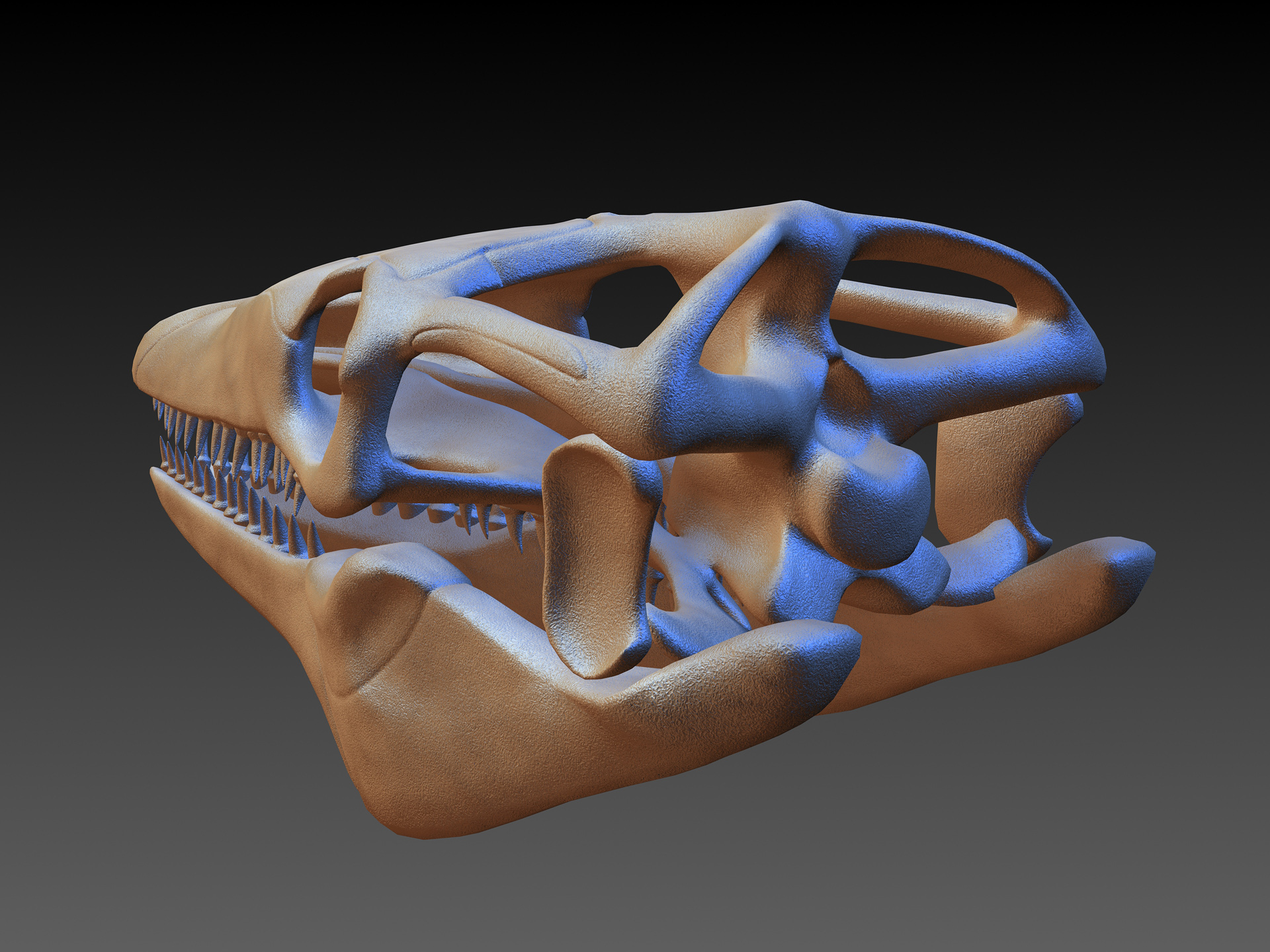 Mosasaurus skeleton model - TurboSquid 1228674