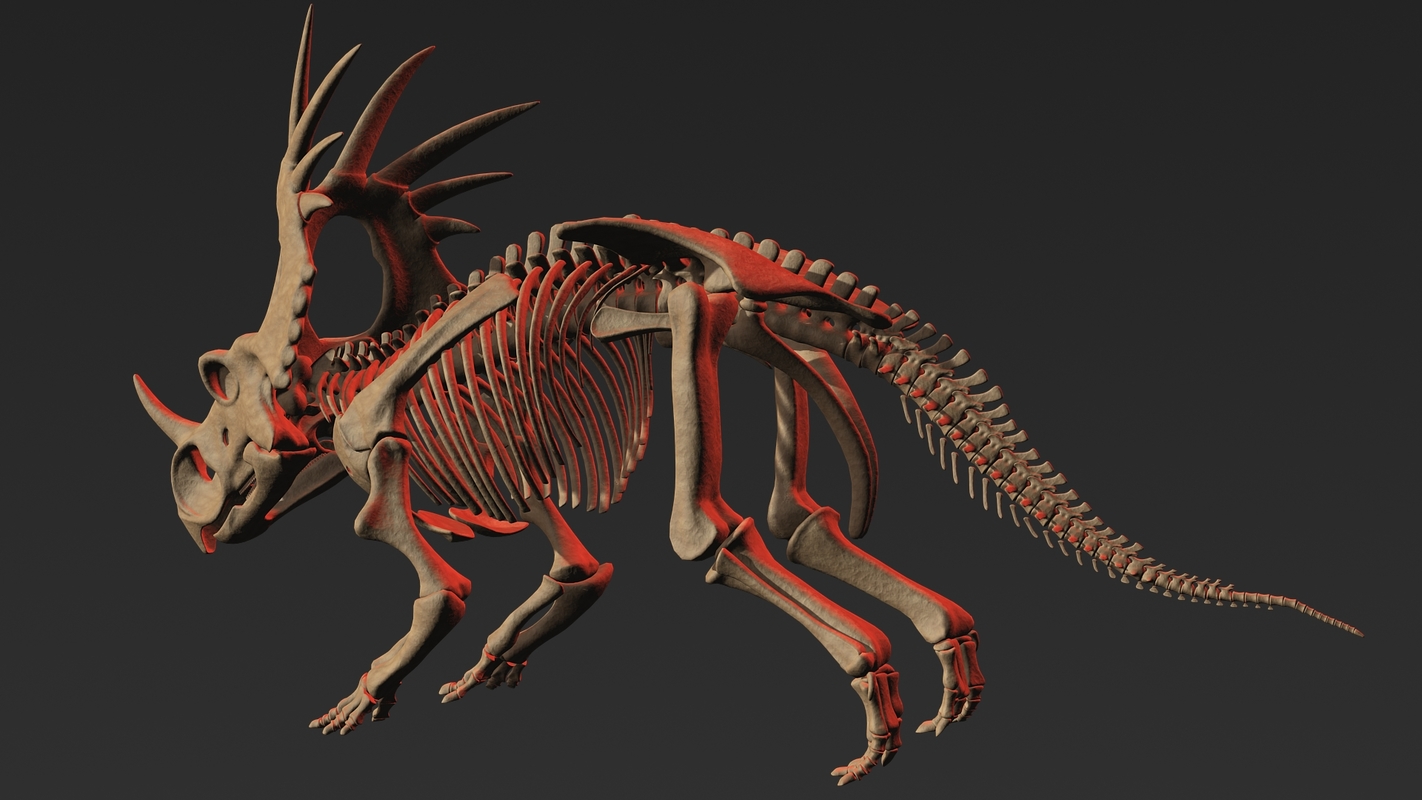 Styracosaurus skeleton 3D model - TurboSquid 1228764