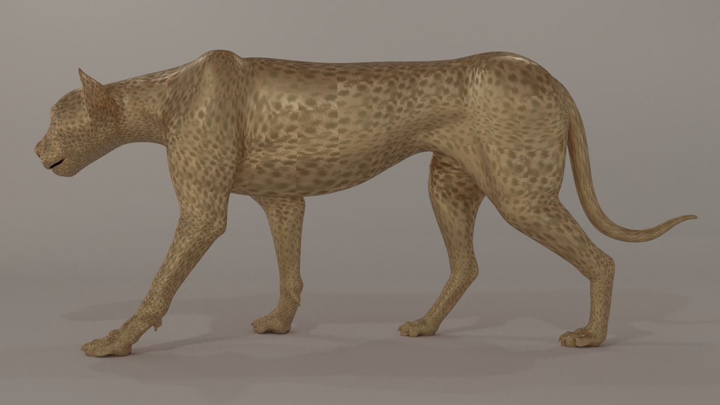 3D sculpting cheetah model - TurboSquid 1228766