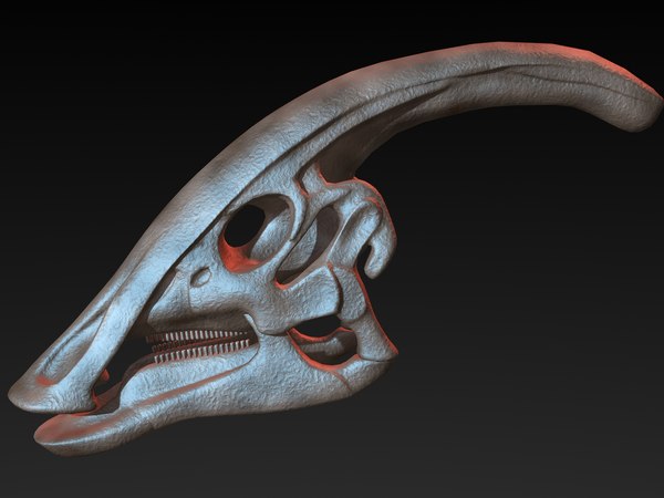 3D parasaurolophus skull model - TurboSquid 1228846
