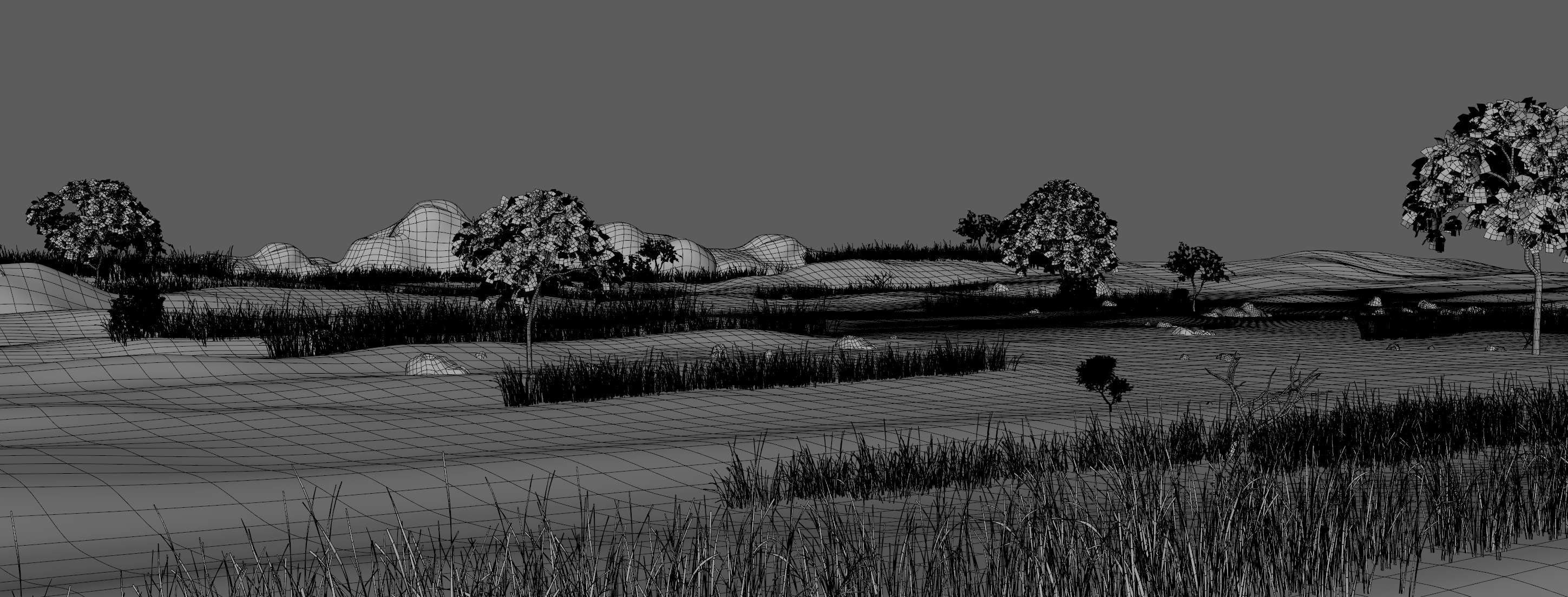 Savanna africa savannah model - TurboSquid 1228971