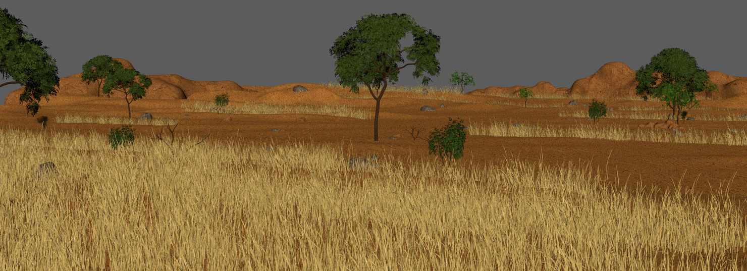 Savanna africa savannah model - TurboSquid 1228971
