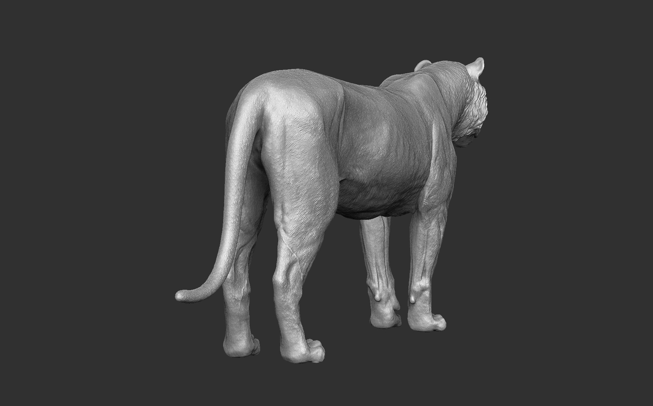 3D zbrush model - TurboSquid 1229000