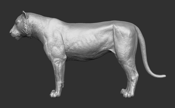 3D zbrush model - TurboSquid 1229000