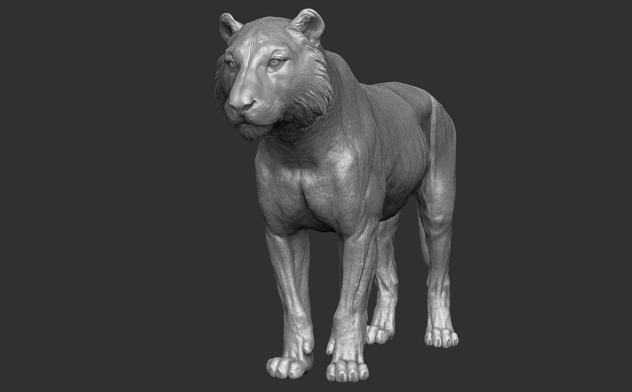 3D zbrush model - TurboSquid 1229000