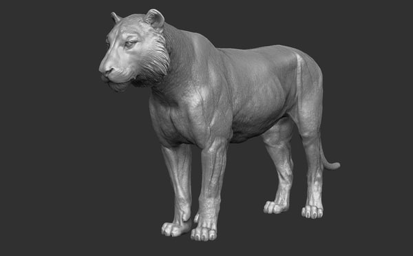 3D zbrush model - TurboSquid 1229000