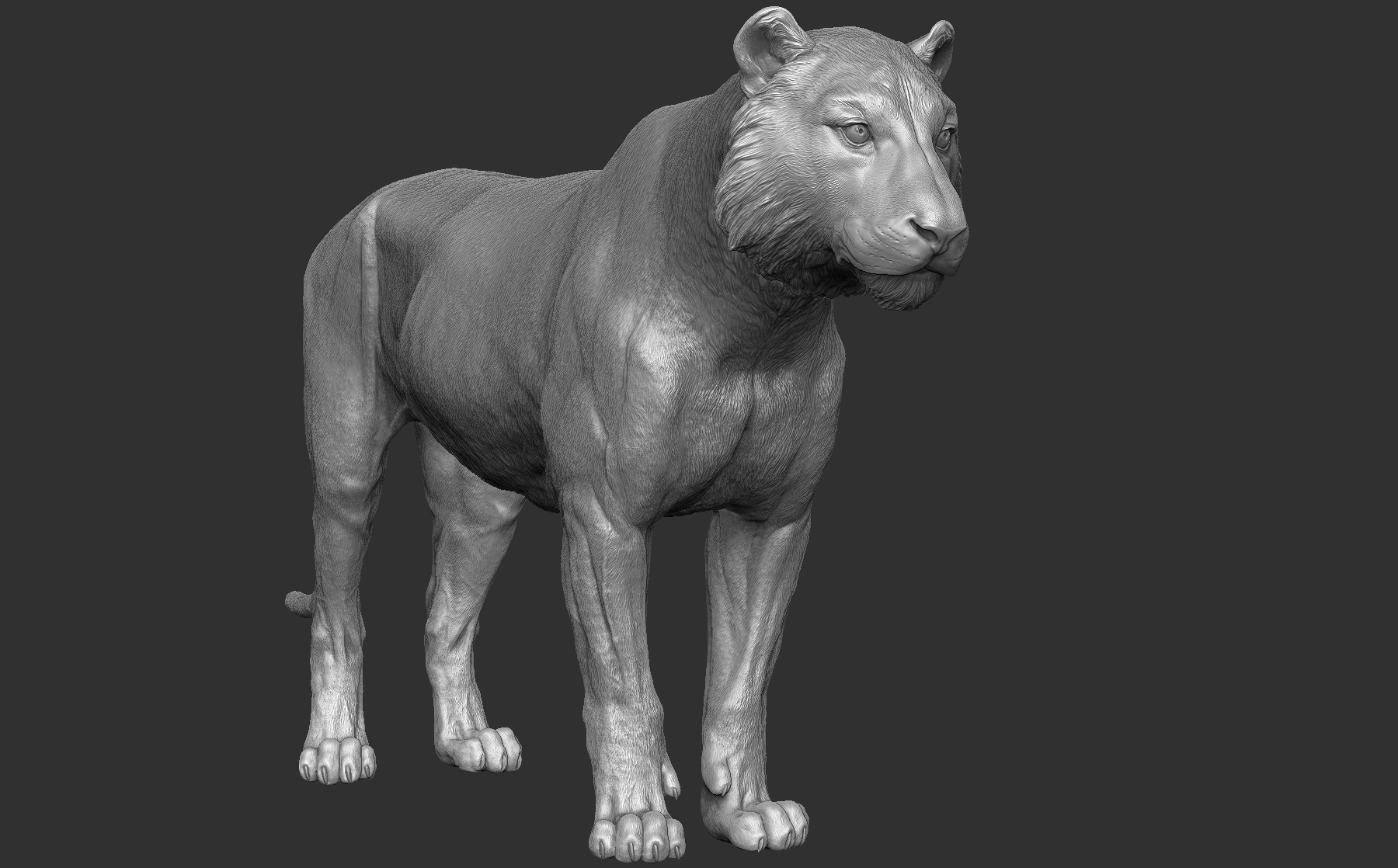 3D zbrush model - TurboSquid 1229000