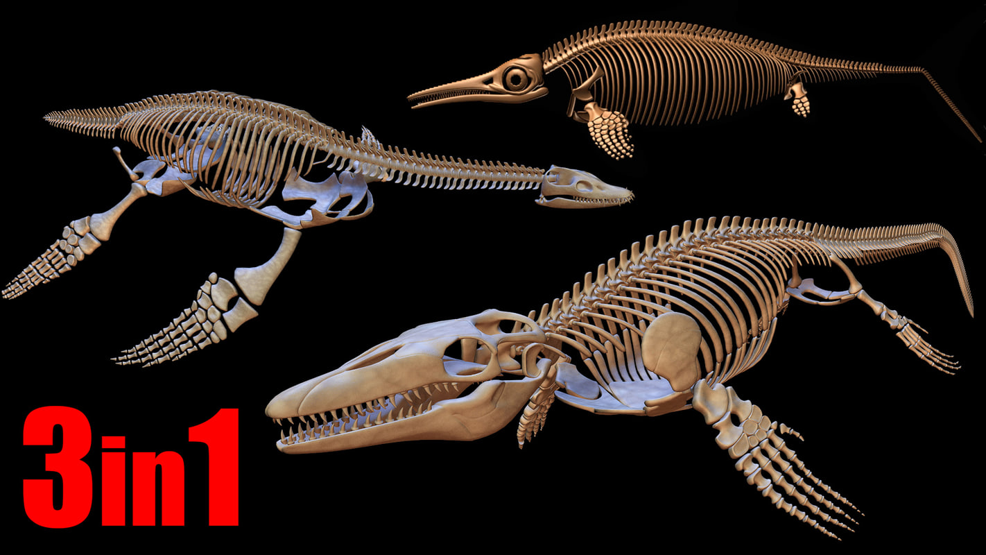 Extinct aquatic reptiles 3D model - TurboSquid 1229492