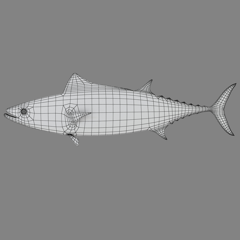 3D sea-life sea model - TurboSquid 1229909