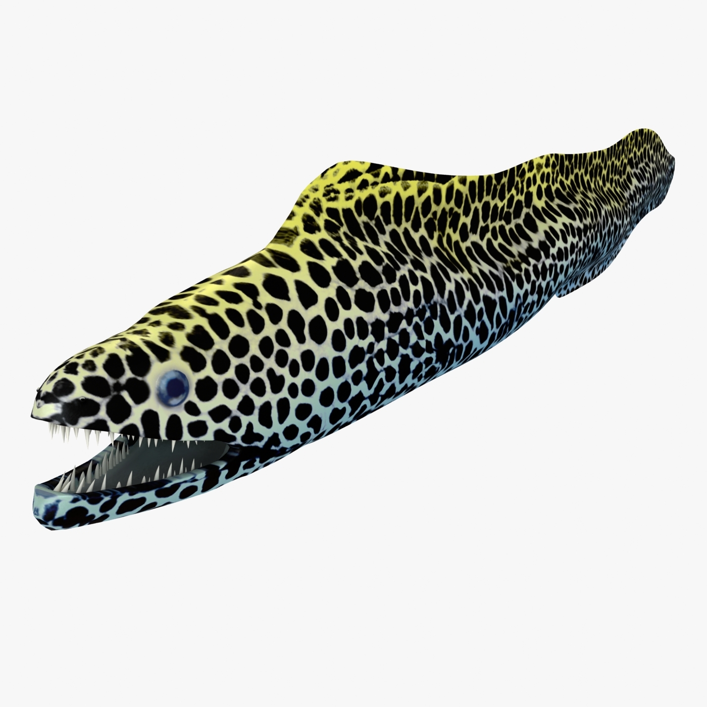 3D sea-life sea model - TurboSquid 1229909
