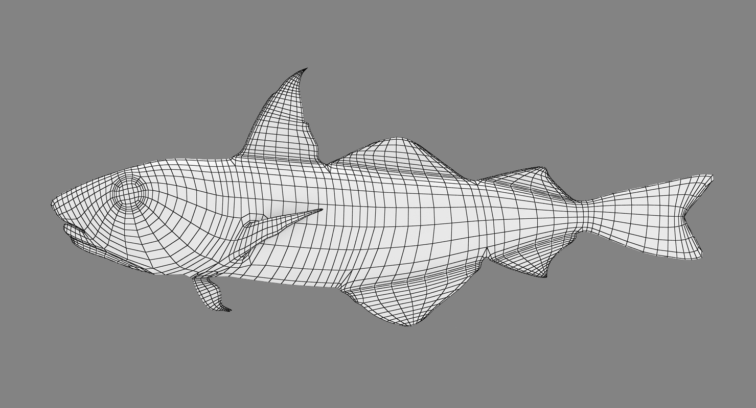 3D sea-life sea model - TurboSquid 1229909