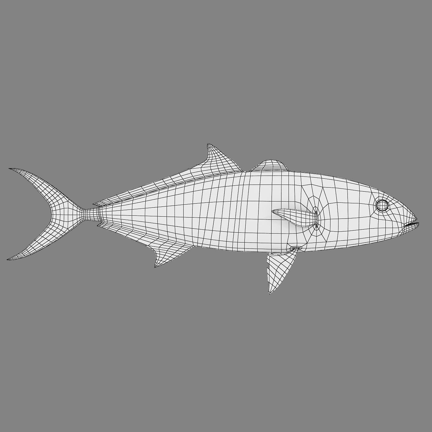 3D sea-life sea model - TurboSquid 1229909