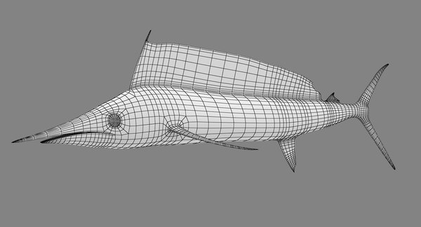 3D sea-life sea model - TurboSquid 1229909