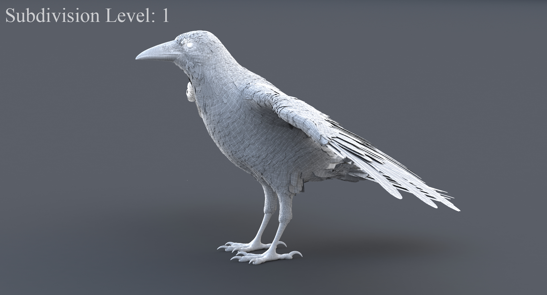 modelo 3d Cuervo - TurboSquid 1230443