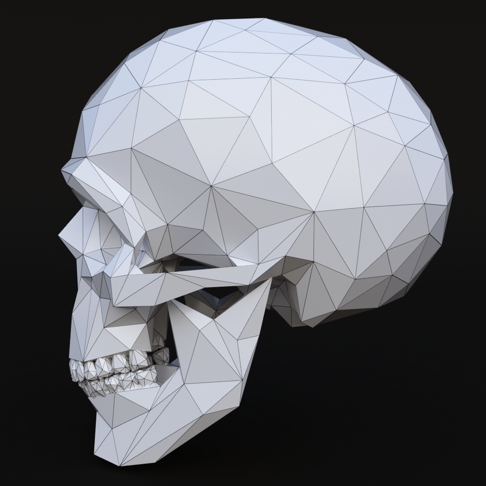 modelo 3d Cráneo Low Poly Humano - TurboSquid 1230642