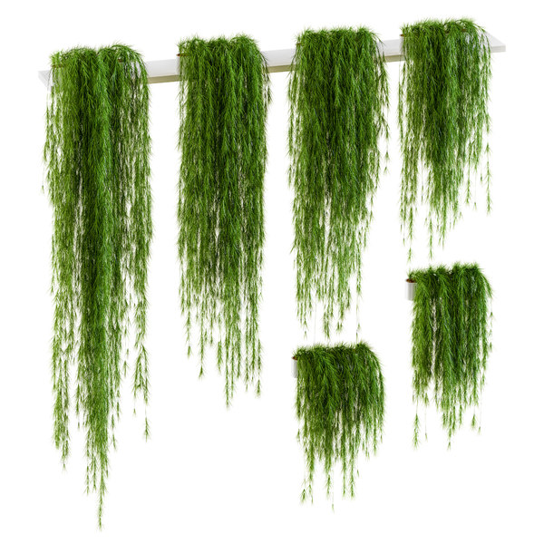 3d model of vines wall 2 items
