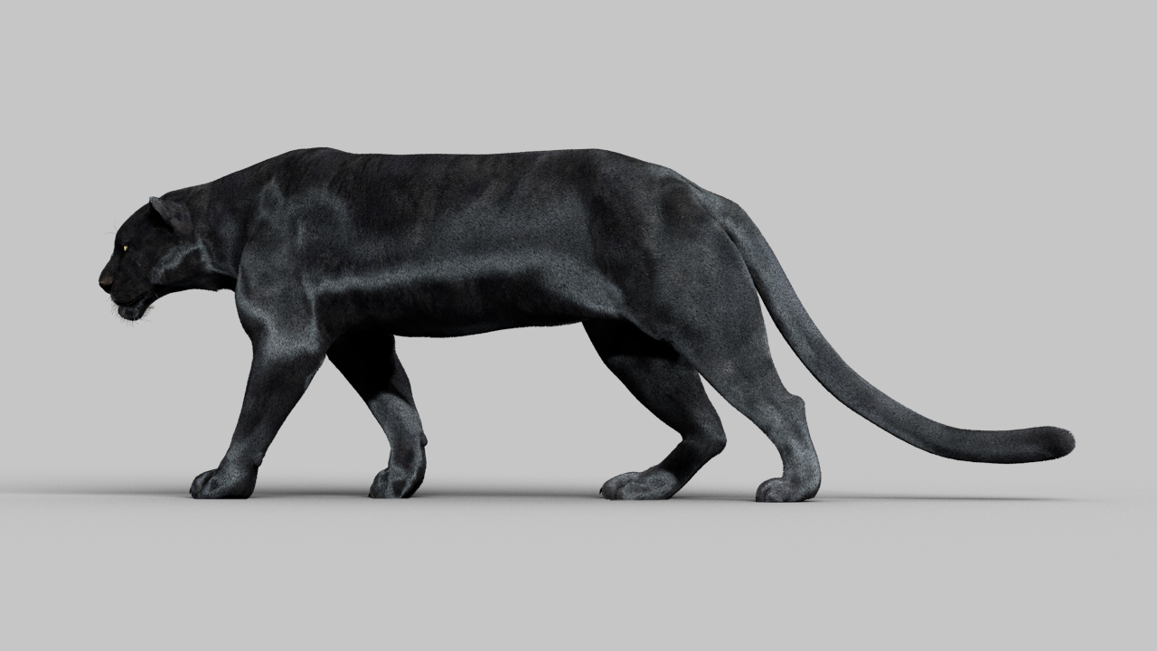 3D model black panther - TurboSquid 1231544