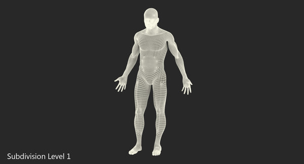 Male anatomy muscular 3D model - TurboSquid 1231601