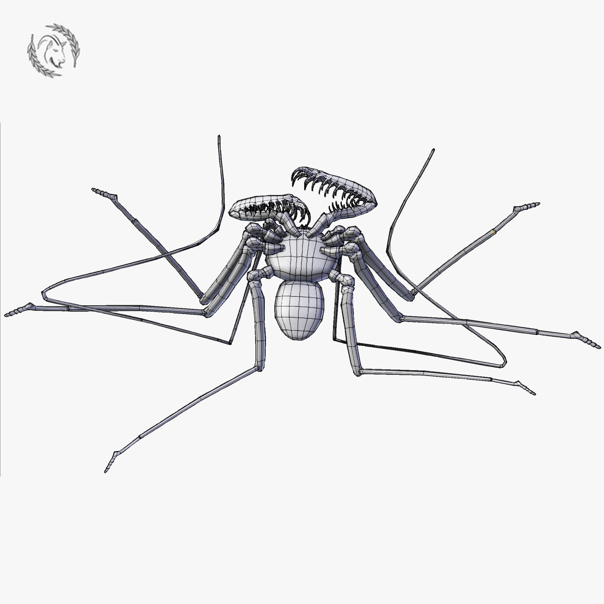 3D whip spider - TurboSquid 1231709