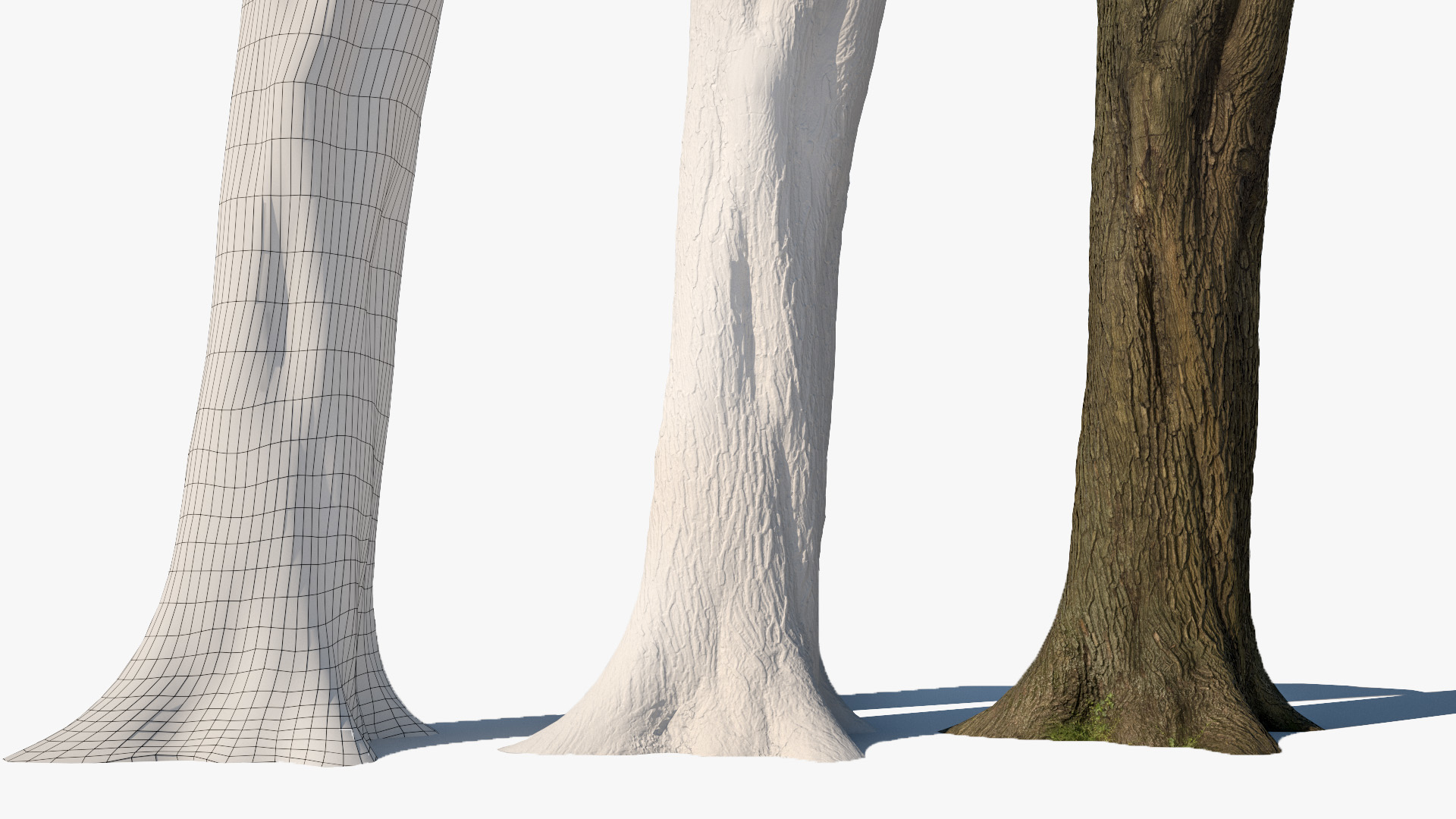 Free photogrammetry maple tree model - TurboSquid 1232503