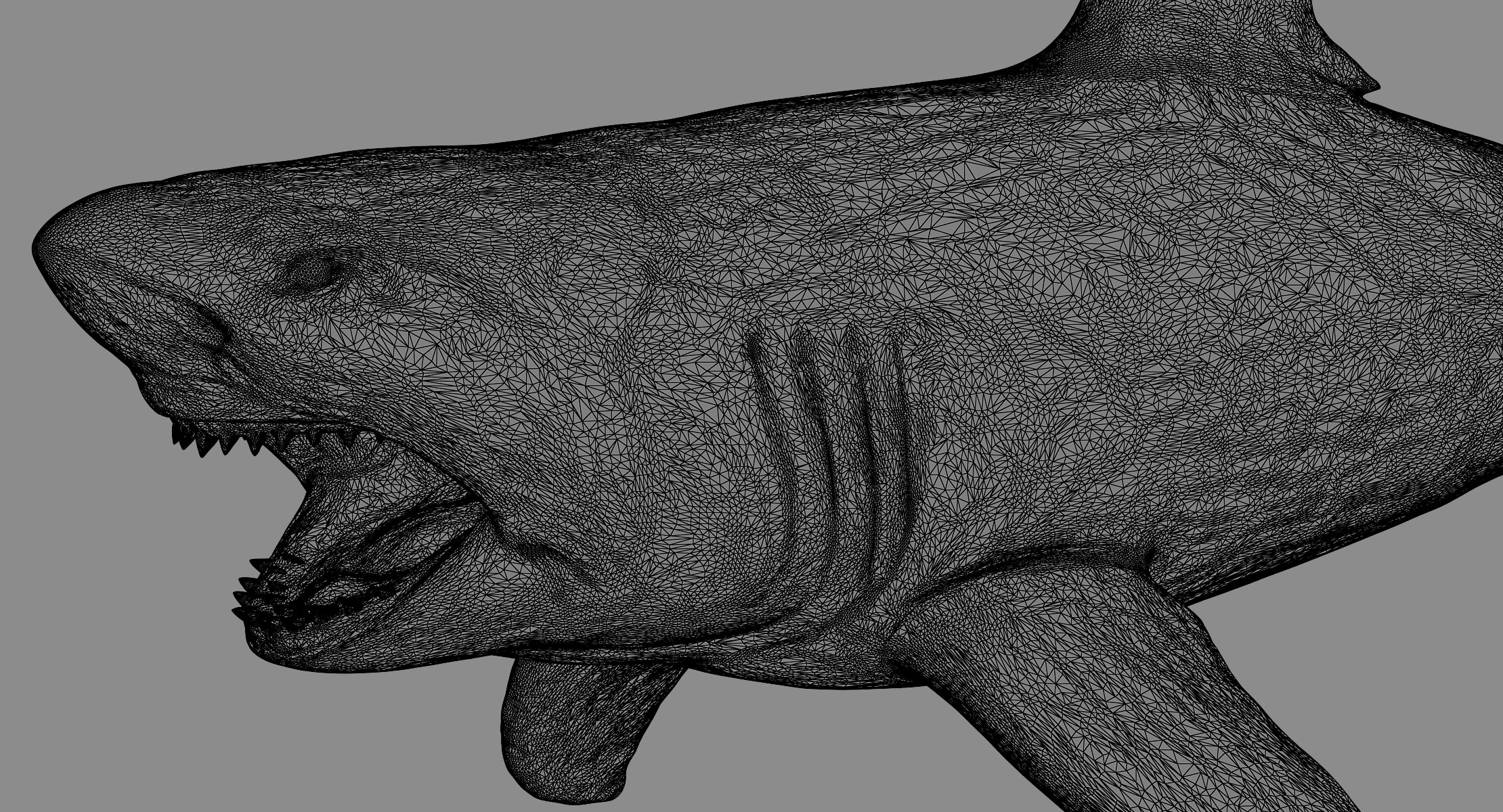 3D great white shark base mesh model - TurboSquid 1232562