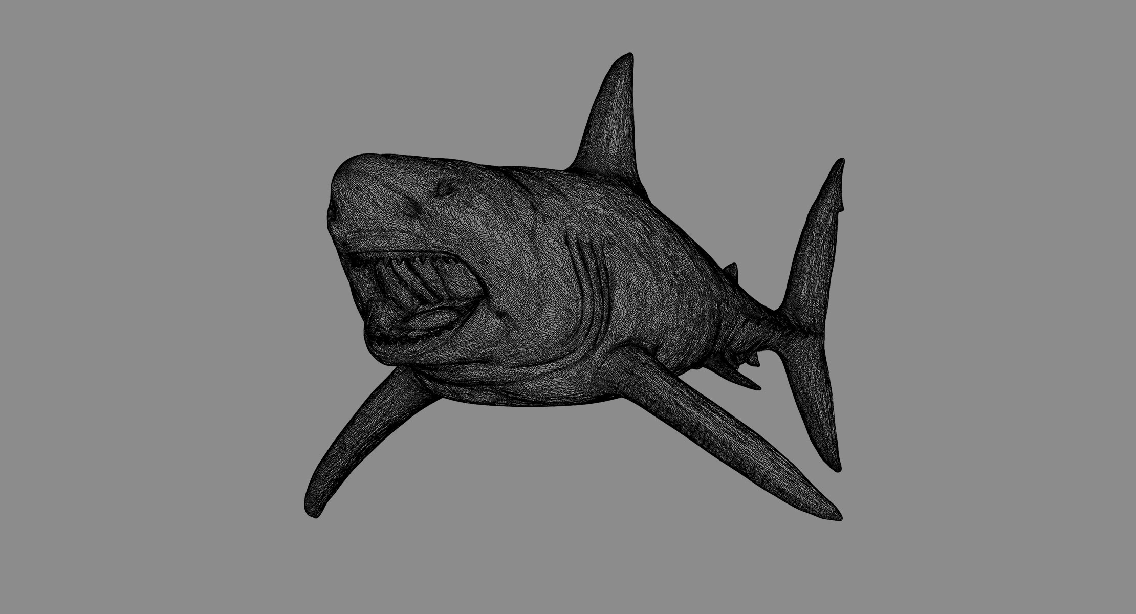 3D great white shark base mesh model - TurboSquid 1232562